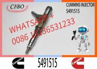 China Common Rail Injector Fuel Injector 4307475 4307468 5461710 5491515 For ISG Excavator Engine for sale