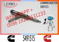 China Common Rail Injector Fuel Injector 4307475 4307468 5461710 5491515 For ISG Excavator Engine for sale