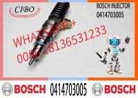 China Diesel Fuel Injector 0986441030 0986441029 0986441028 0986441031 0414703005 0414703003 0414703002 0414703007 for sale