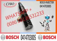 China Diesel Fuel Injector 0986441030 0986441029 0986441028 0986441031 0414703005 0414703003 0414703002 0414703007 for sale