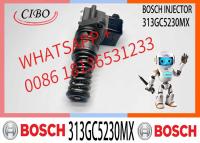 China Injector Pump 313GC5230M 313GC5230MX for XF95 95XF 480 CF75/85 2001-2002 E7 Series for sale