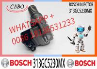 China Injector Pump 313GC5230M 313GC5230MX for XF95 95XF 480 CF75/85 2001-2002 E7 Series for sale