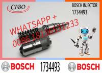 China NINE Brand High quality Diesel Common Rail Diesel Injector 1734493 Fuel injector 1734493 for sale