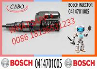 China Excavator Injector 0414701005 5236543 1408335 1424462 1529749 0414701105 1428273 1454161 for Diesel Engine Parts Nozzle for sale