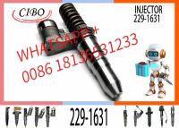 China Diesel injector  150-4453 162-8809 162-8813 192-2817 204-2067 229-1631 245-8272 246-1854 250-1311 250-1302 for sale