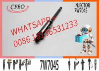 China Fuel Injector Nozzle 170-5181 7W7045 with Best Competitive Price 7W-7045 for sale