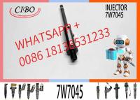 China Fuel Injector Nozzle 170-5181 7W7045 with Best Competitive Price 7W-7045 for sale
