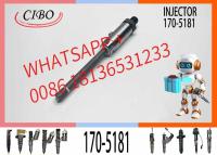 China Fuel Injector 7W7045 0r-3591 170-5181 for Excavator Engine 3306b 3306 973 973c for sale