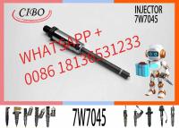 China Fuel Injector 8N-7005 130-1804 0R-1747 0R-8787 0R-4124 0R-3591 0R-3423 0R-8785  7W7045 for sale