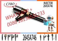 China Fuel Injector Assembly C6.6 2645A746  2645A718 10R-7673 10R-7676 2645A734 10R-7674 10R-7668 for sale