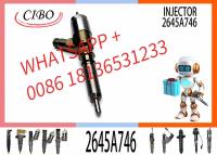 China Fuel Injector Assembly C6.6 2645A746  2645A718 10R-7673 10R-7676 2645A734 10R-7674 10R-7668 for sale