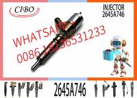 China Fuel Injector Assembly C6.6 2645A746  2645A718 10R-7673 10R-7676 2645A734 10R-7674 10R-7668 for sale