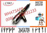 China Common Rail Fuel  2645A709  292-3780 306-9380 306-9390 310-9067 2645A751 320-0655 for sale