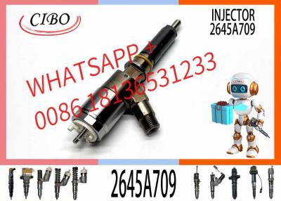 China Common Rail Fuel  2645A709  292-3780 306-9380 306-9390 310-9067 2645A751 320-0655 for sale