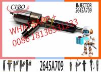 China Common Rail Fuel  2645A709  292-3780 306-9380 306-9390 310-9067 2645A751 320-0655 for sale