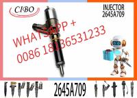 China Common Rail Fuel  2645A709  292-3780 306-9380 306-9390 310-9067 2645A751 320-0655 for sale