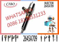 China Common Rail Fuel  2645A709  292-3780 306-9380 306-9390 310-9067 2645A751 320-0655 for sale