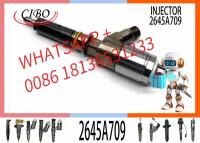 China Common Rail Fuel  2645A709  292-3780 306-9380 306-9390 310-9067 2645A751 320-0655 for sale