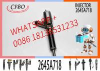 China 317-2300 Common Rail Fuel 320D 321D L Engine Injector 2645A717 326-4700 for sale