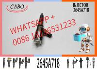 China 317-2300 Common Rail Fuel 320D 321D L Engine Injector 2645A717 326-4700 for sale