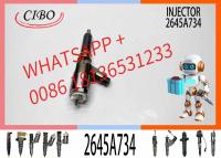 China High Quality New Common Rail Injector Diesel Fuel Injector Nozzle Assembly 292-3780 2645A718 For  C6.6 for sale