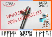 China 198-7471 High quality common rail injector 1987471 198-7471, suitable for hot selling 3126B engine for sale