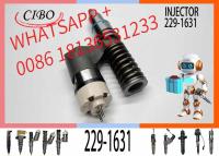 China Diesel Pump 3508B/3512B/3516B Oem Common Rai Fuel Injectors 229-1631 250-1314 250-1304 250-1306 for sale