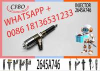 China Engine Fuel Injector C6.6 10R-7932 2645A753 2645A747 320-0655 320-0688 2645A746 2645A751 10R-7672 10R-7671 10R-7674 for sale