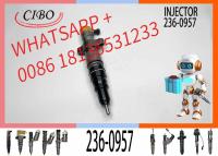 China 236-0957 Diesel Engine Injector 10R-9002 254-4340 387-9436 For  Common Rail for sale