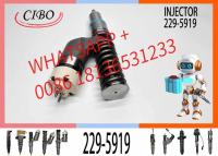 China Hot Sale Fuel injector Assembly 356-1367 355-6110 10R-0956 Common Rail Fuel Injector 374-0750 229-5919 For  C15 for sale