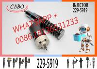 China Hot Sale Fuel injector Assembly 356-1367 355-6110 10R-0956 Common Rail Fuel Injector 374-0750 229-5919 For  C15 for sale