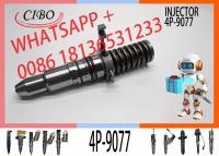 China Fuel Pump Injector 4P-9077 0R-2925 4P9077 0R2925 Diesel For  3512/3516/3508 Engine for sale