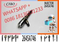 China C4.4  320D 320D L Engine Excavator Oem Common Rail Fuel Injectors 2645A746 10R-7671 320-0677 3200677 for sale