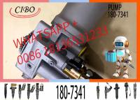 China 325C E322C E325C Diesel Pump 1807341 10R2995 1340467 10R7053 3126B Fuel Injection Pump 10R-2995 134-0467 10R-7053 for sale