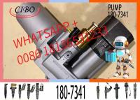 China 325C E322C E325C Diesel Pump 1807341 10R2995 1340467 10R7053 3126B Fuel Injection Pump 10R-2995 134-0467 10R-7053 for sale