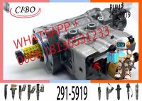 China Fuel Injection Pump 317-8021 291-5919 for C6.6 Engine 320D 322D Excavator for sale
