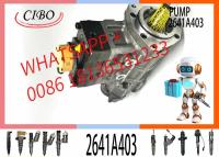 China 295-9125 2959125 Fuel Injection Pump 10R7659 10R-7659 2641A405 2641A403 for C6.6 C4.4 Diesel for sale