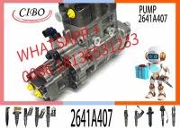 China Fuel Injection Pump 368-9171 2641A407 For  320D 321D 323D C6.4 MADE INCHINA for sale