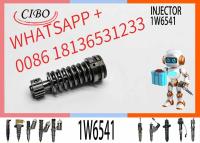 China Ftb 4P-9830 Diesel Fuel Engine Part Plunger Common Rail Plunger 1W-6541 Diesel Injector Pump Plunger 1W6541 4P9830 for sale