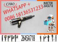 China Common Rail Diesel Fuel Injector 292-3780 2645A718 For   C4.4 C6.6 Excavator CP-56 CP-56B CP-64 for sale