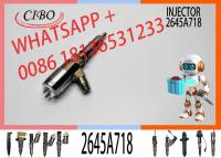 China Common Rail Diesel Fuel Injector 292-3780 2645A718 For   C4.4 C6.6 Excavator CP-56 CP-56B CP-64 for sale