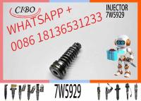 China Diesel Fuel Injection Pump Plunger 1w6541 4p9830 9h5797 6n7527 Plunger Barrel 7W5929 Element for  3304 3306 Diesel for sale