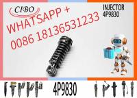 China Excavator Diesel Engine Injection Pump Plunger 1086633 1W6541 4P9830 for sale