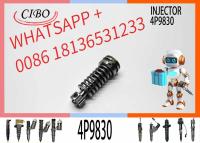 China Excavator Diesel Engine Injection Pump Plunger 1086633 1W6541 4P9830 for sale