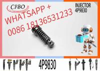 China Excavator Diesel Engine Injection Pump Plunger 1086633 1W6541 4P9830 for sale