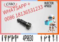 China Excavator Diesel Engine Injection Pump Plunger 1086633 1W6541 4P9830 for sale