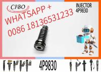 China Excavator Diesel Engine Injection Pump Plunger 1086633 1W6541 4P9830 for sale