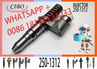 China Diesel Fuel Injector Assembly 250-1312 392-0225 20R-0849 20R-1269 392-0216 20R-1265 for  3512C Engine for sale