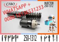 China Diesel Fuel Injector Assembly 250-1312 392-0225 20R-0849 20R-1269 392-0216 20R-1265 for  3512C Engine for sale