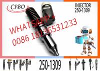China Diesel Nozzle Assembly Common Rail Injector 2501309 250 1309 250-1309 For C13 C15 Engine for sale